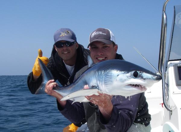 FLY FISHING SAN DIEGO CALIFORNIA FOR MAKO SHARKS - Colorado Trout Hunters